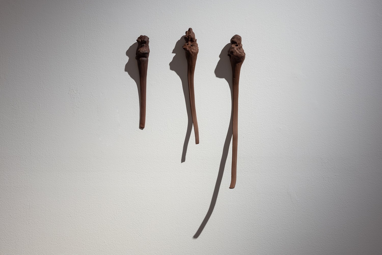 A Scratch! — Phoebe Collings-James