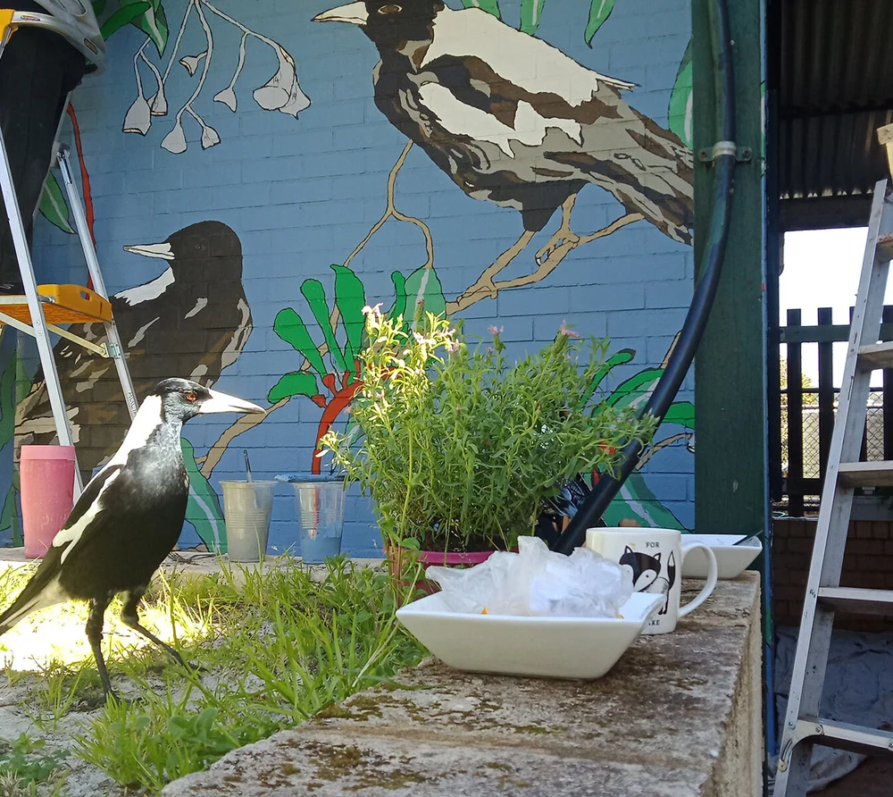 Magpie Mural — Alicia Rogerson Art