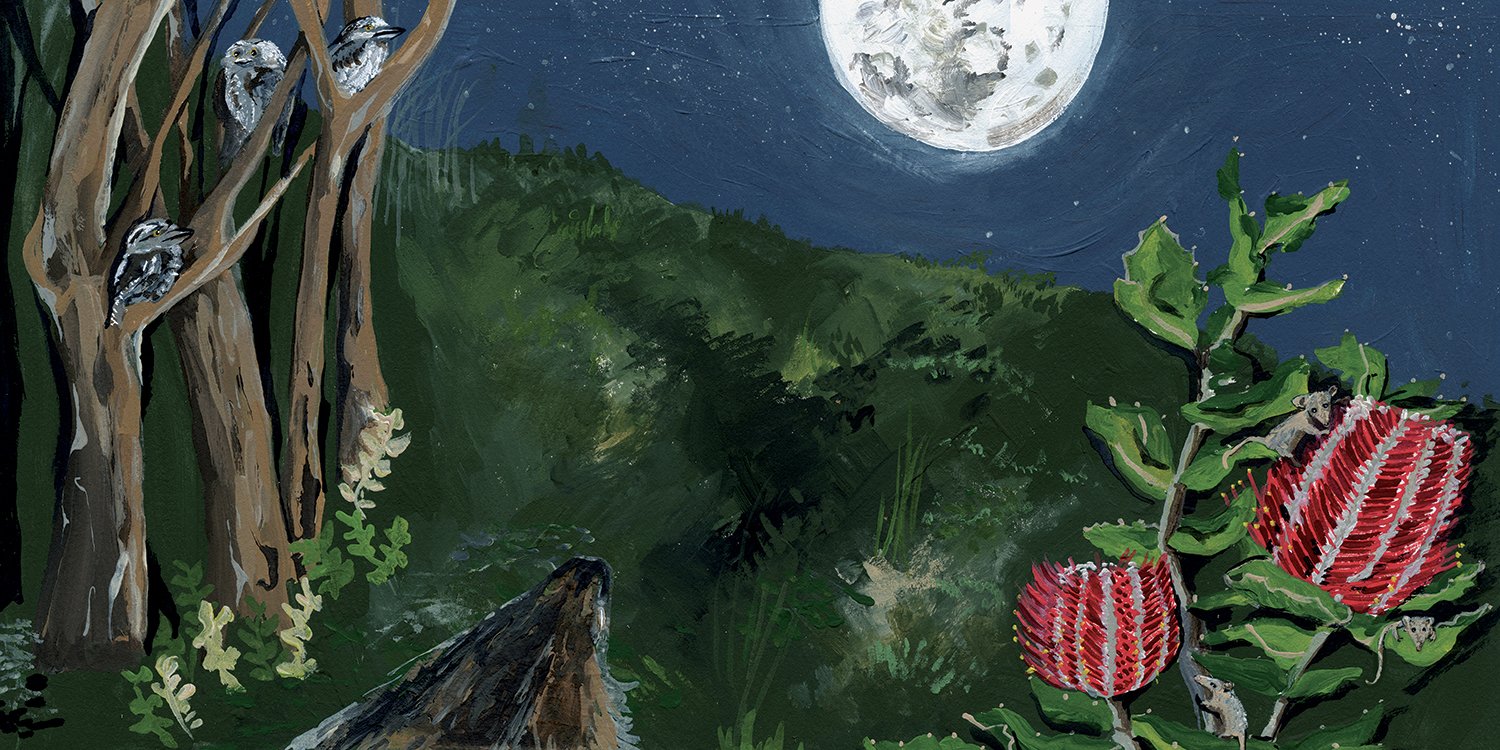 One Potoroo — Alicia Rogerson Art