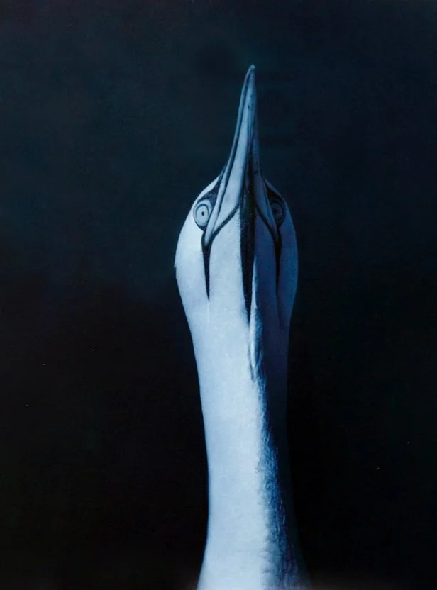 The Gallery House/Skwirl Contemporary Fine Art Gallery