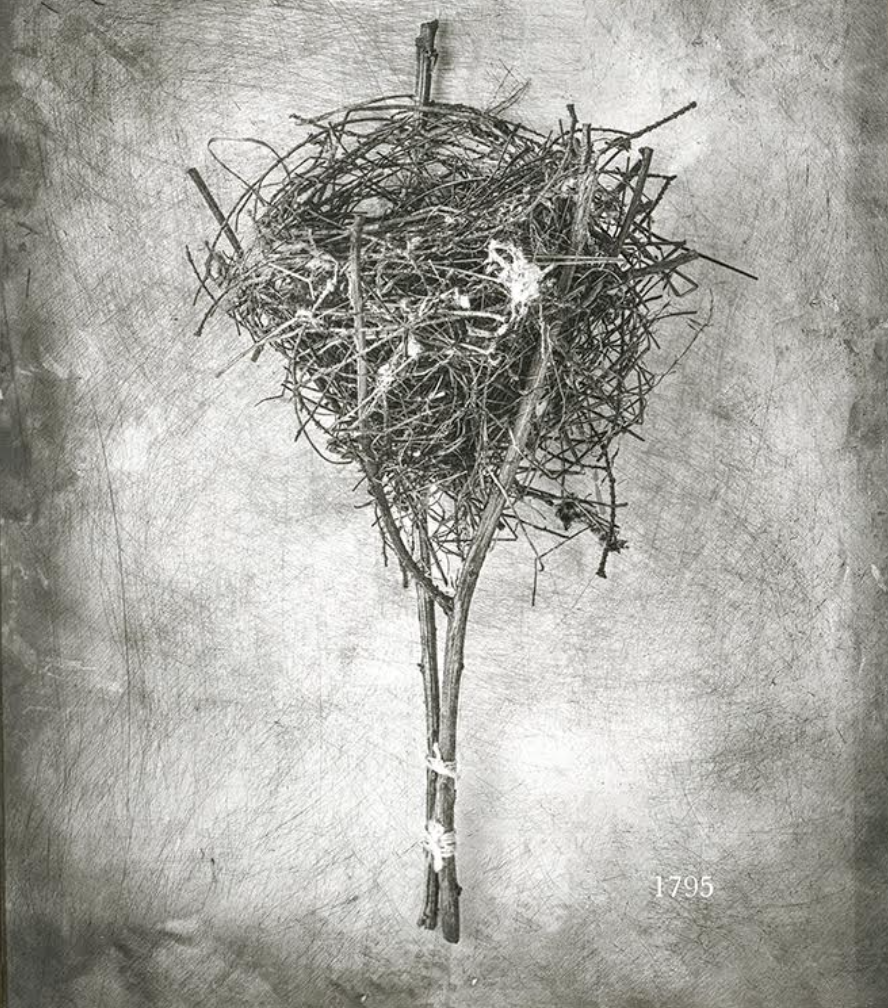 The Gallery House/Skwirl Contemporary Fine Art Gallery