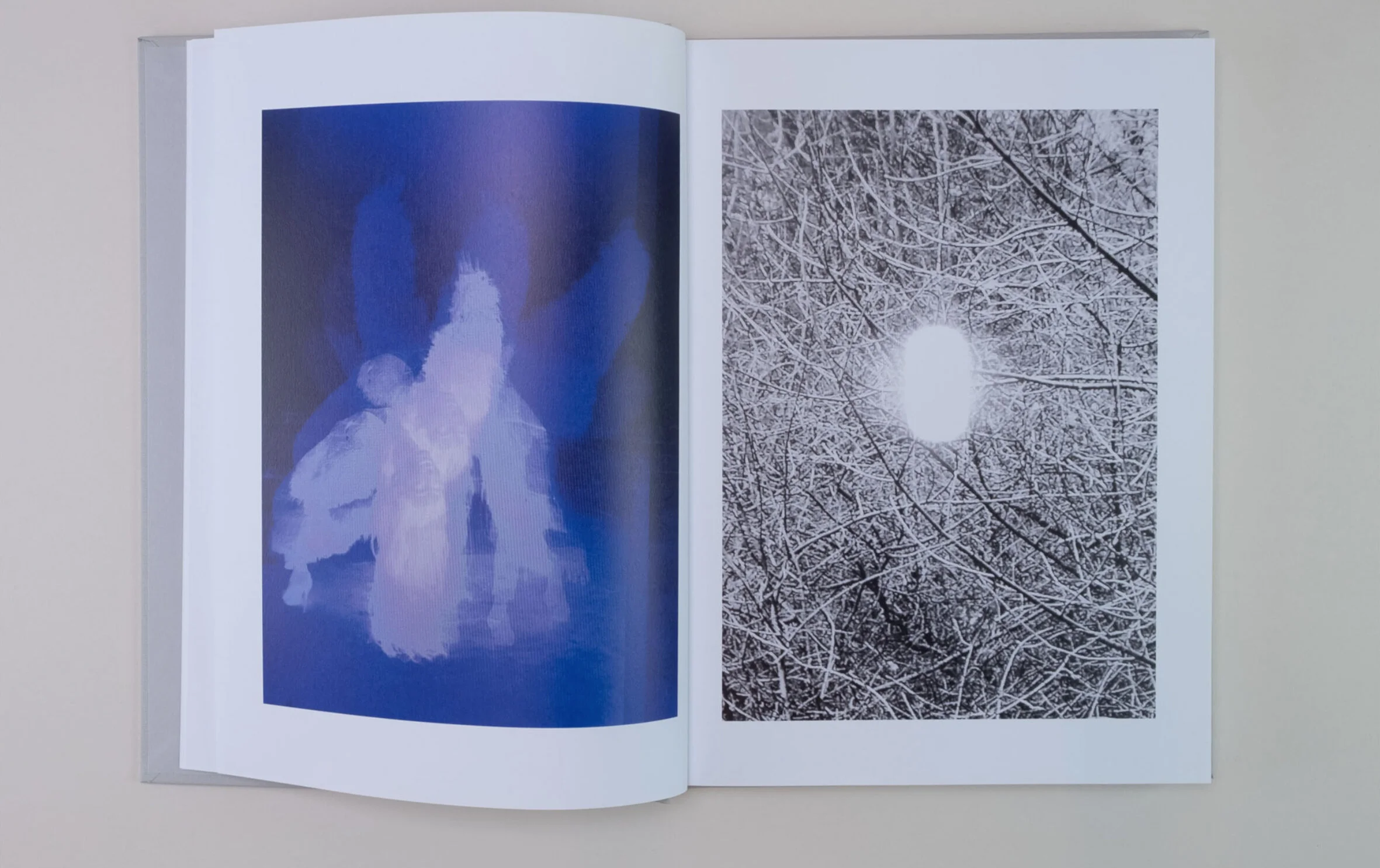 books — Isabelle Wenzel