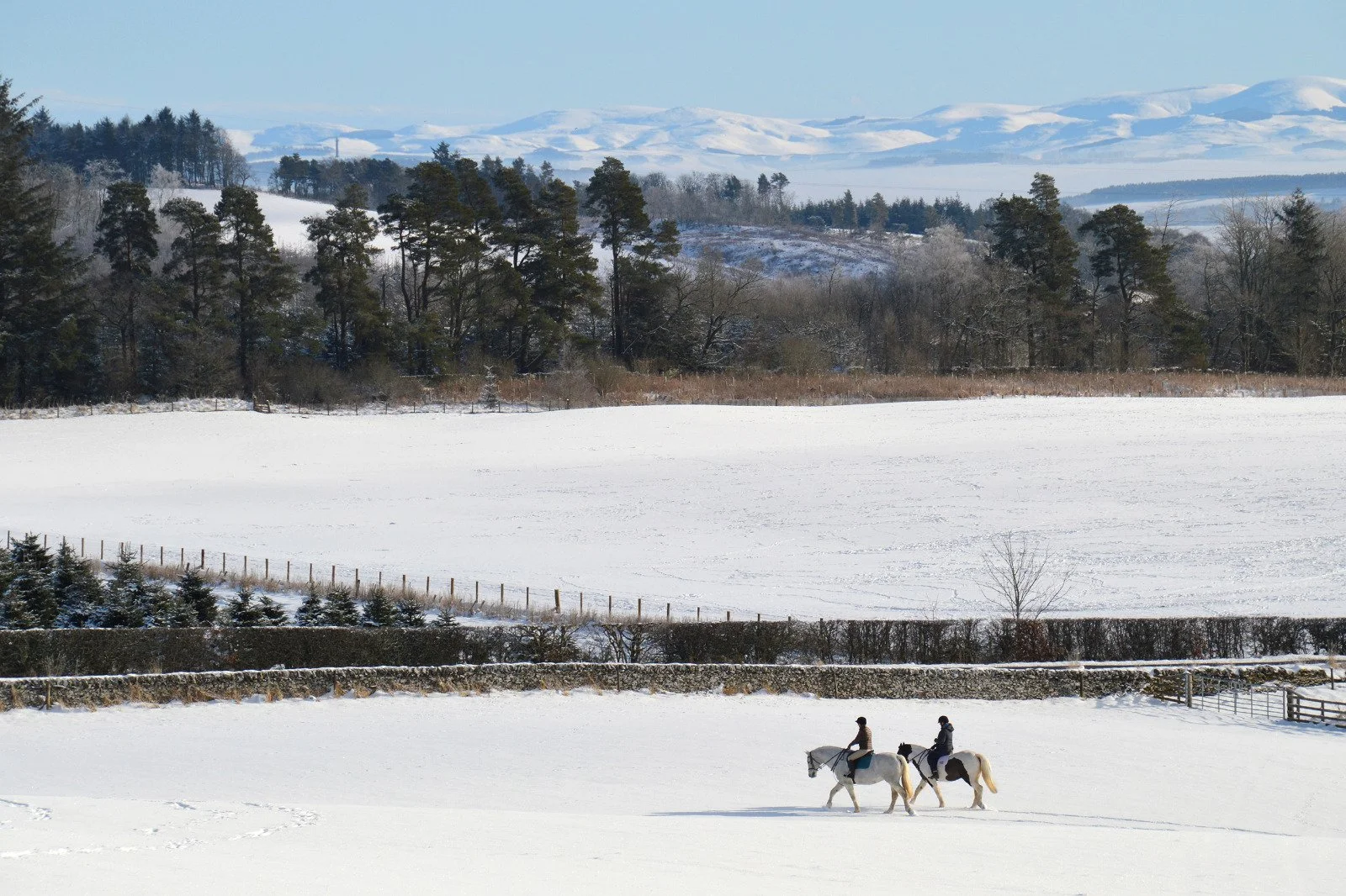 Ian Stark Equestrian Centre | Riding Centre, Scottish Borders — Ian ...