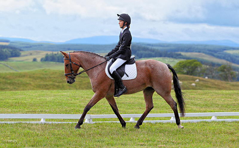 Ian Stark Equestrian Centre