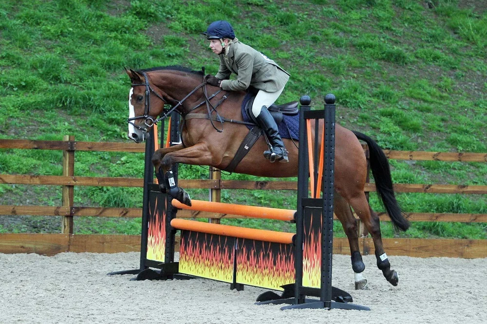 Ian Stark Equestrian Centre | Riding Centre, Scottish Borders — Ian ...