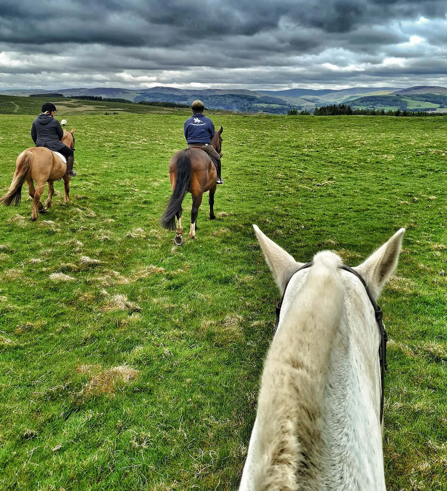 ISEC Gallery — Ian Stark Equestrian Centre