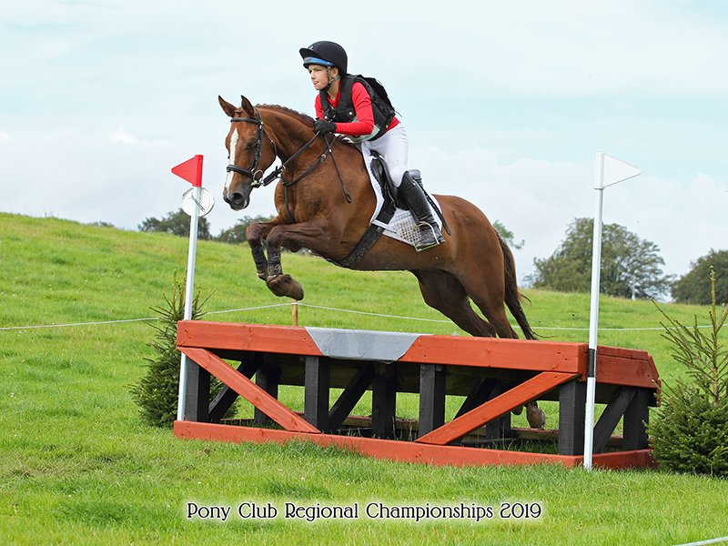 XC Field at ISEC — Ian Stark Equestrian Centre