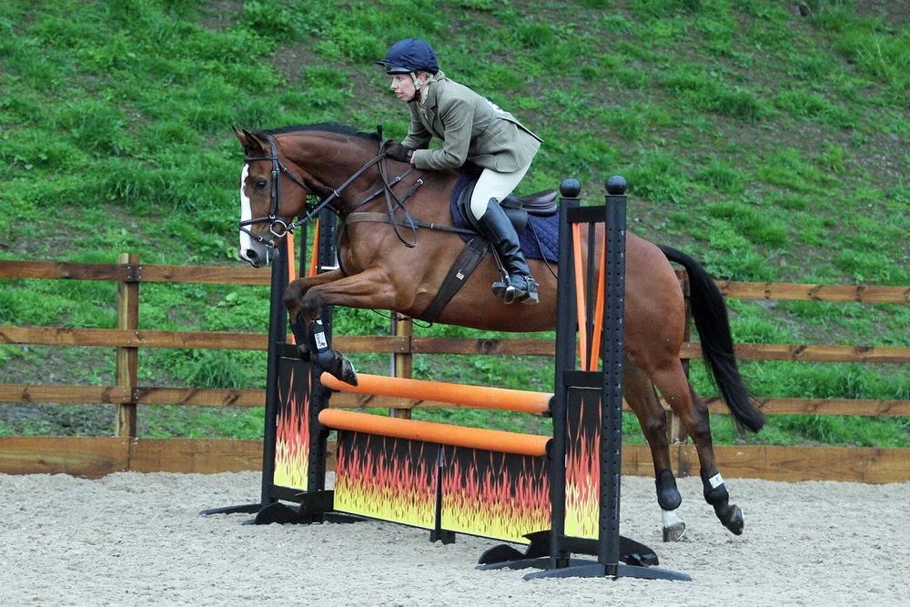 ISEC History — Ian Stark Equestrian Centre