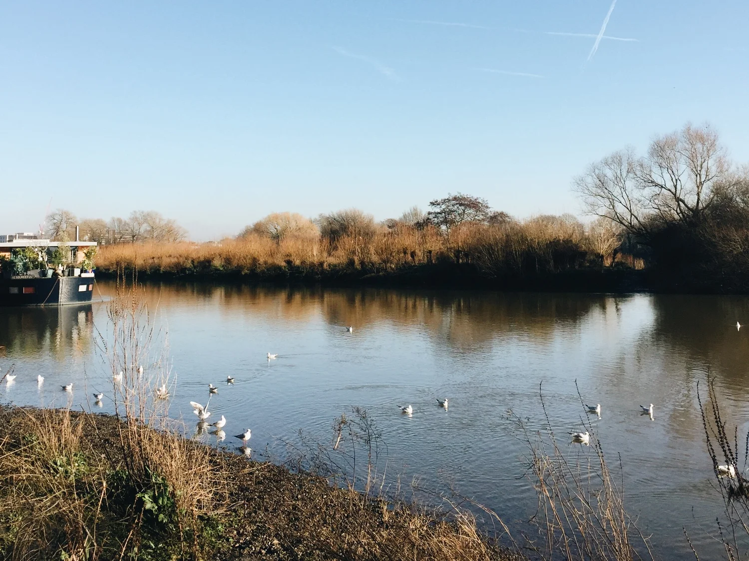 Blog 2 — Old Chiswick Protection Society