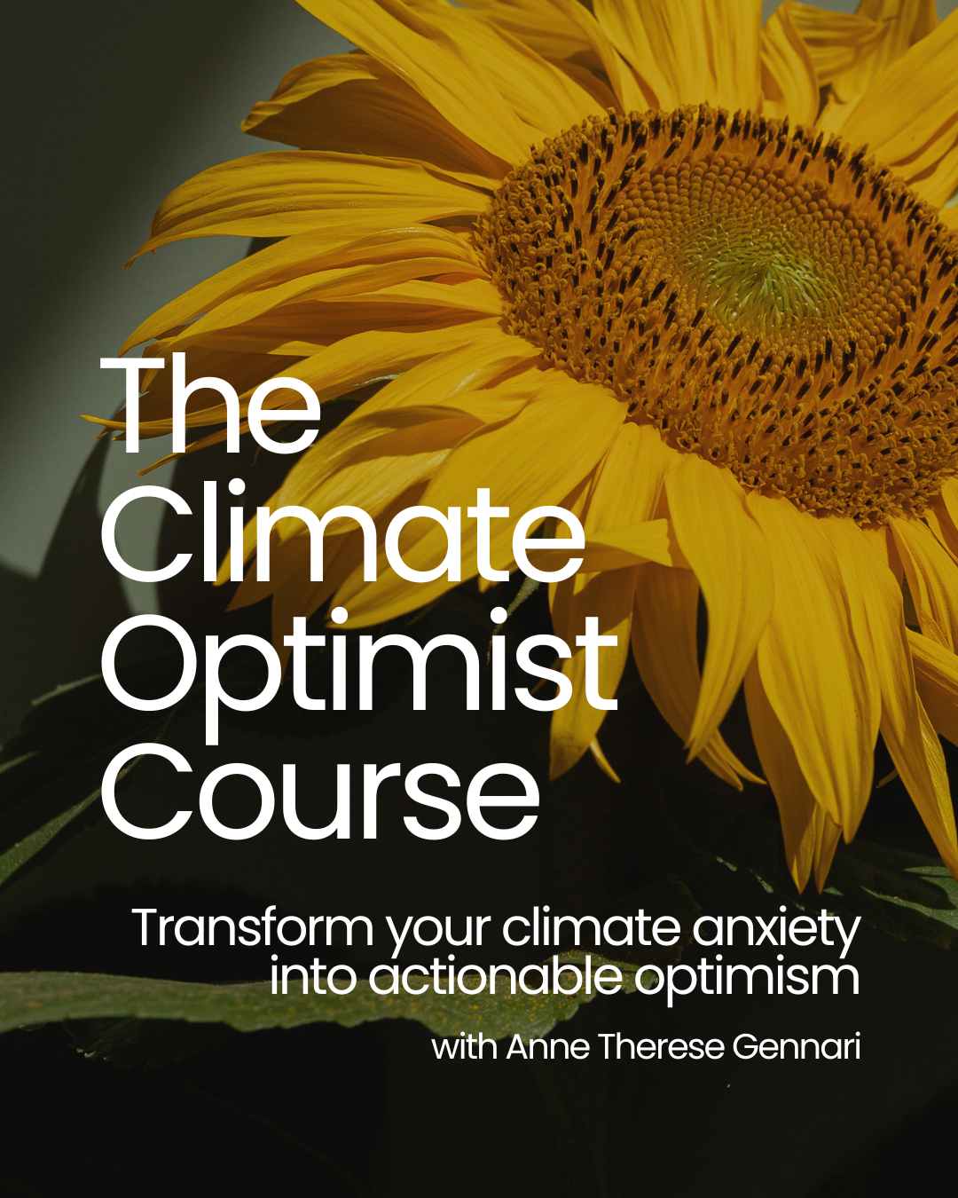 Climate Change Education & Coaching on Climate Optimism