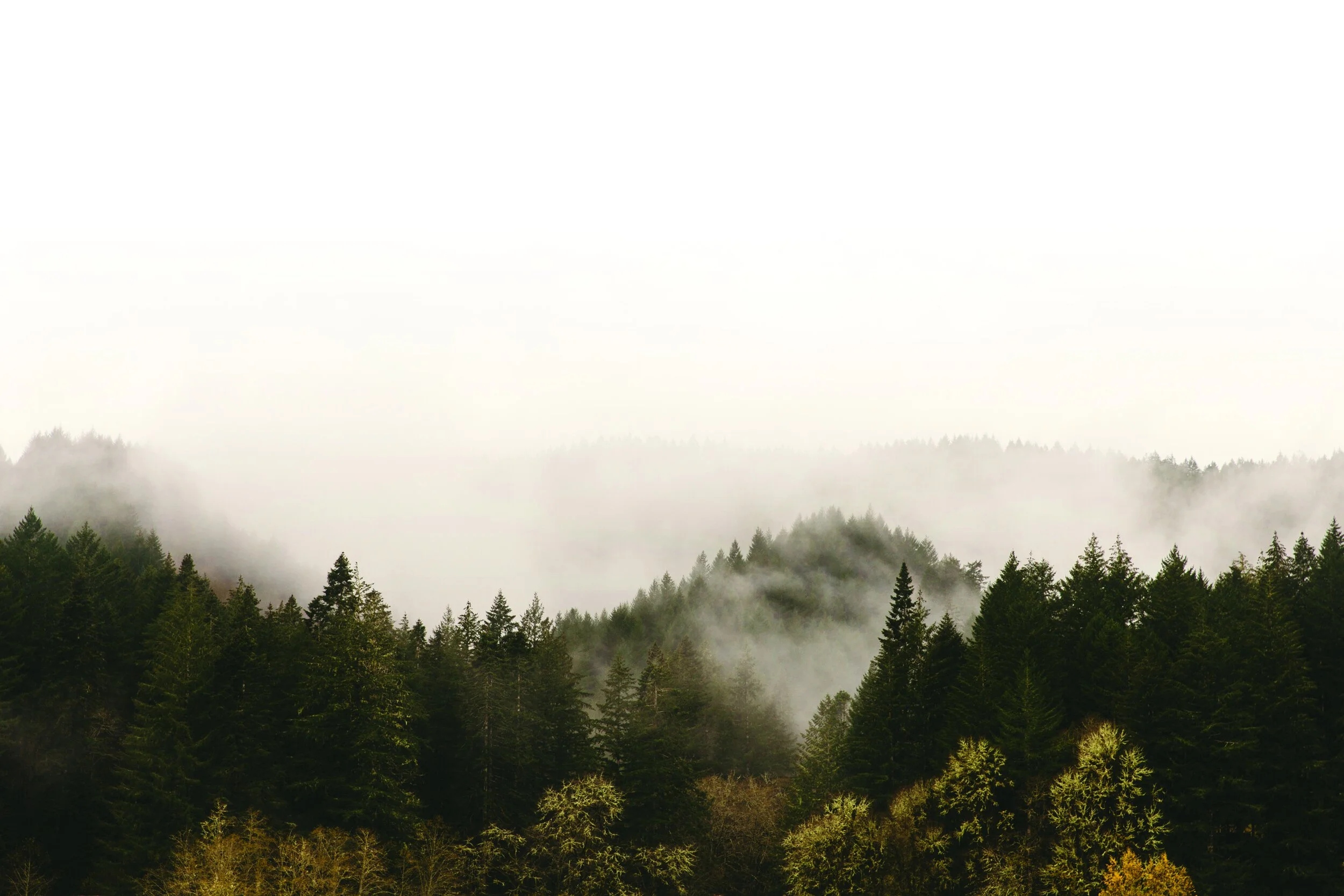 Climate Change Education & Coaching on Climate Optimism