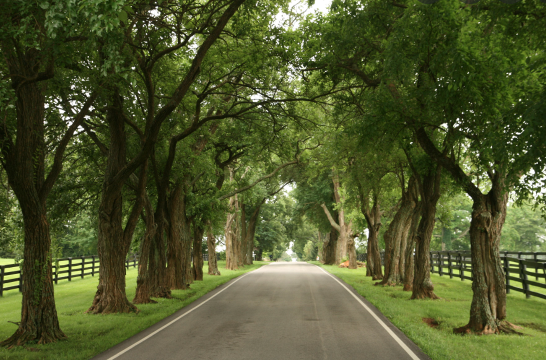 Scenic Drives near Lexington, Kentucky — Things to do in Lex