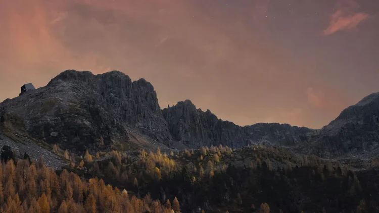 Azolla Fund I — Prime Coalition