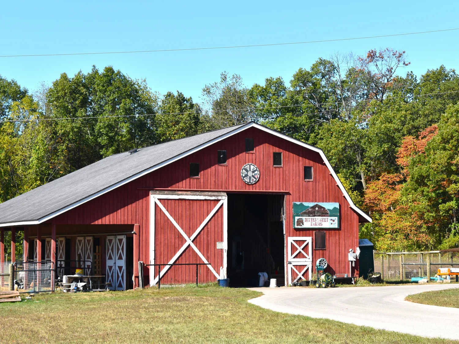 Day Programs - Bittersweet Farms — Bittersweet Farms