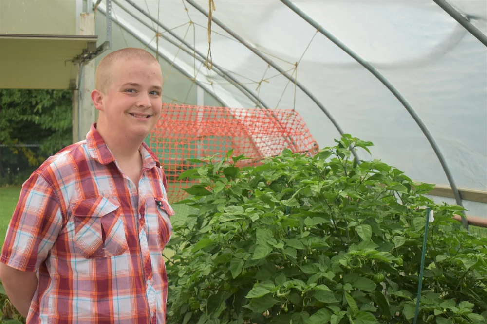 2022 Annual Newsletter — Bittersweet Farms