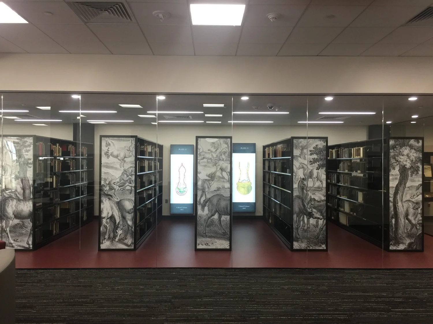 Projects — Library Interiors of Texas
