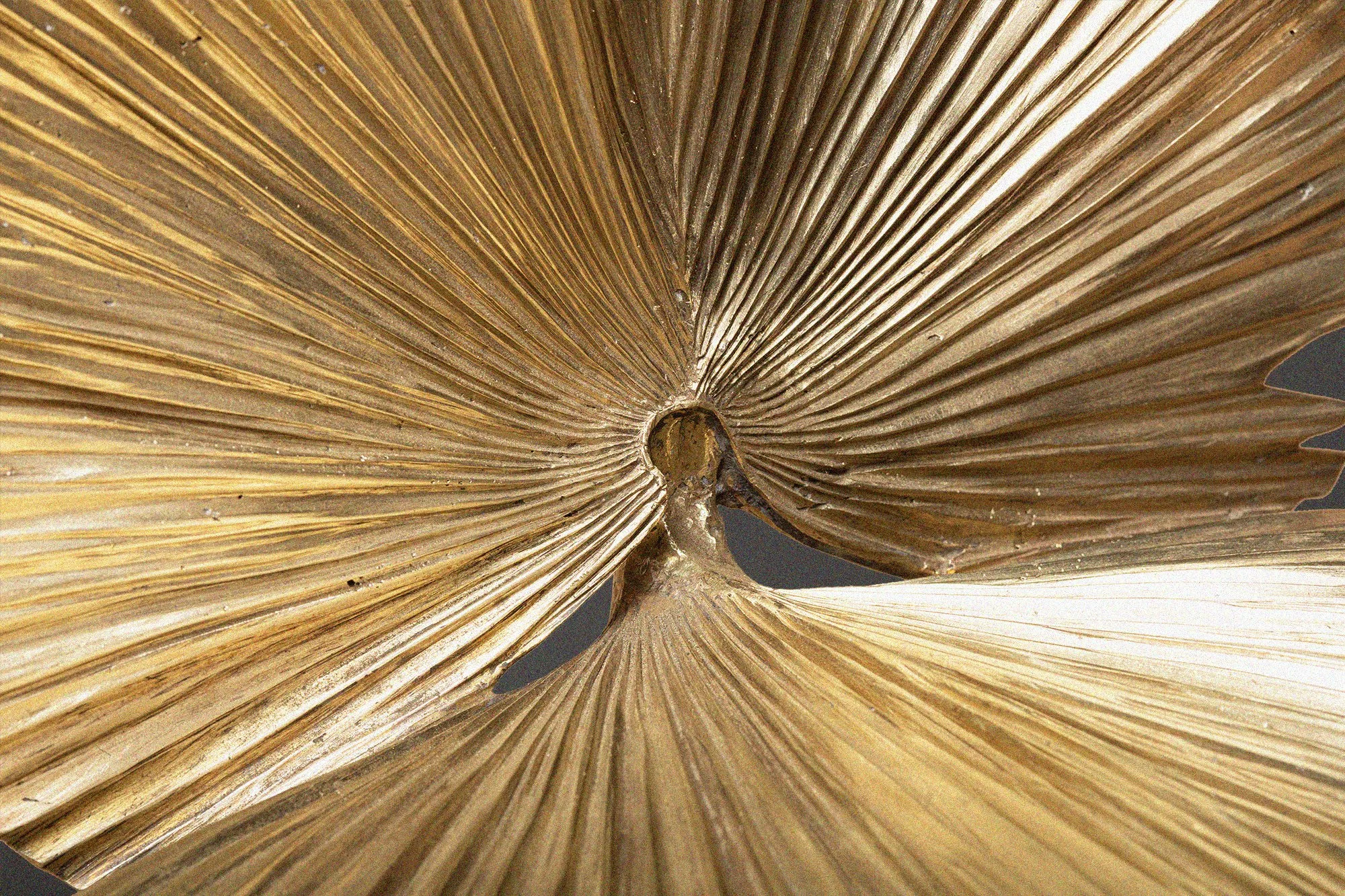 AGNES STUDIO
