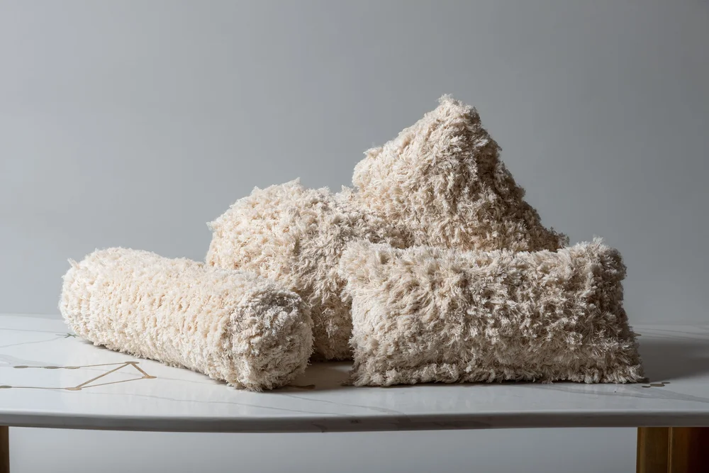 AGNES STUDIO X WAYIL — AGNES STUDIO