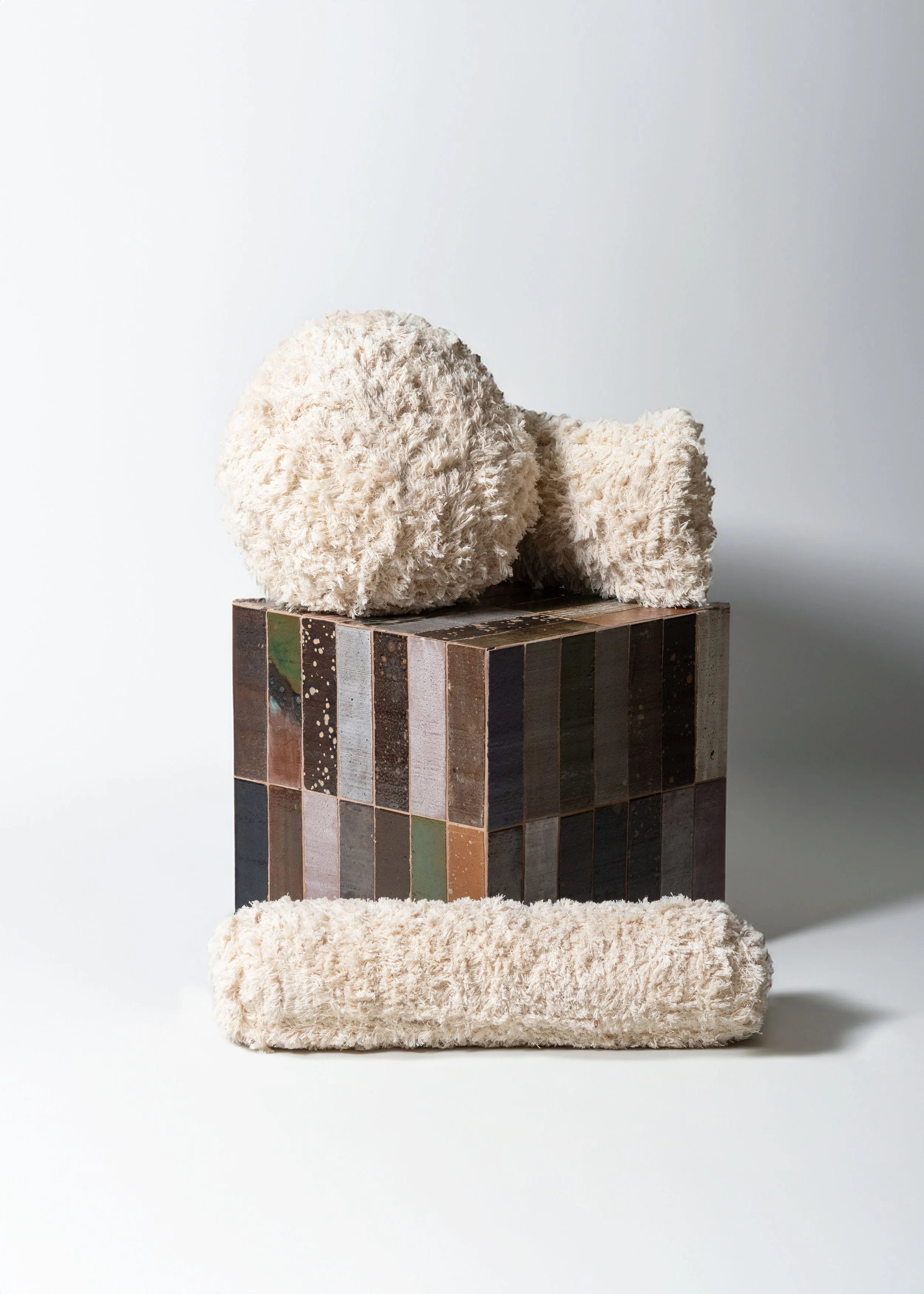 AGNES STUDIO X WAYIL — AGNES STUDIO