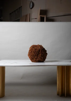 AGNES STUDIO X WAYIL — AGNES STUDIO