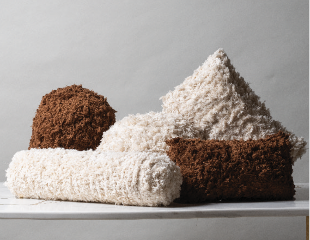 AGNES STUDIO X WAYIL — AGNES STUDIO