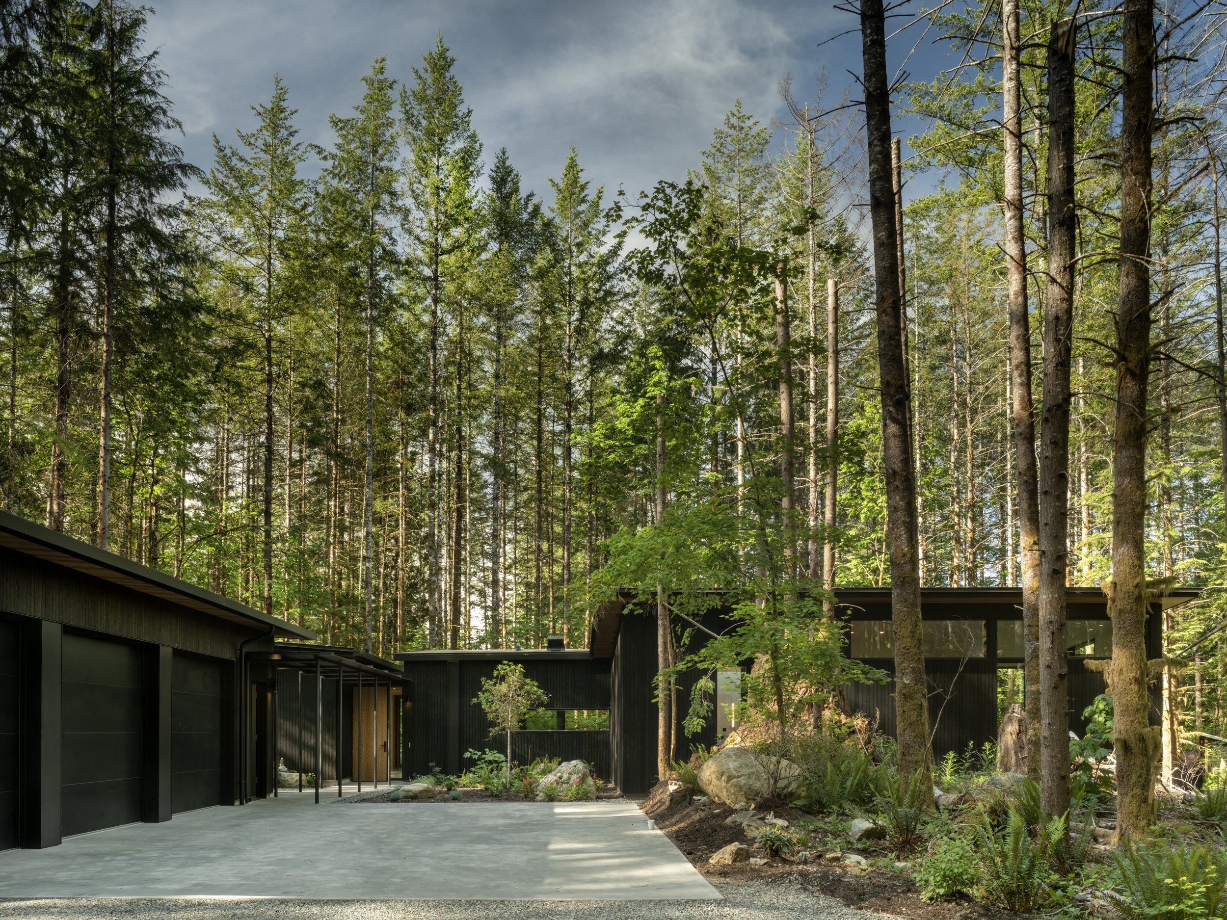 Forest Pavilion — Dovetail