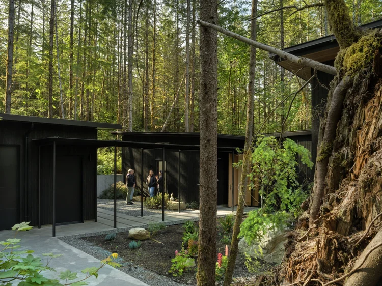 Forest Pavilion — Dovetail