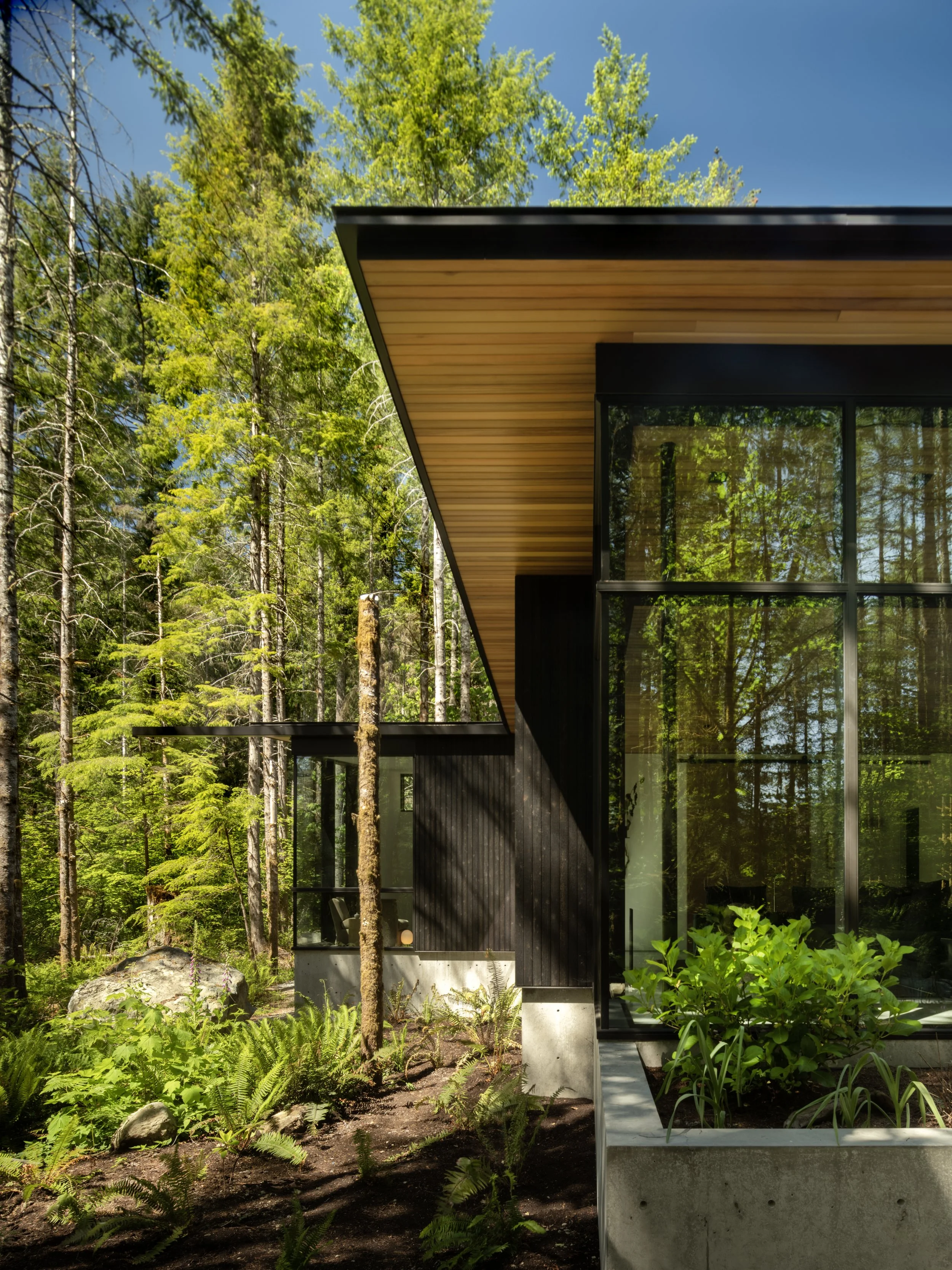 Forest Pavilion — Dovetail