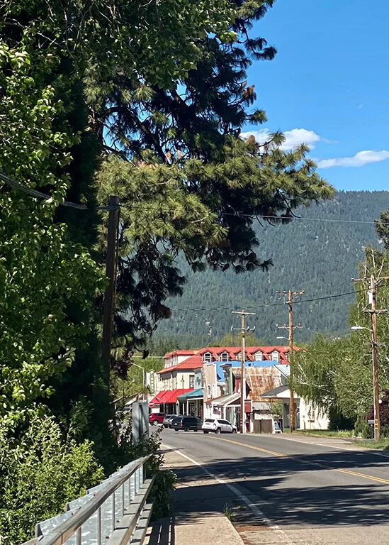 Services — FEATHER SPRINGS