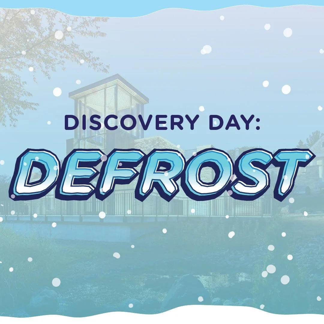 Discovery Day: Defrost | The Bakken Museum | Minneapolis, MN