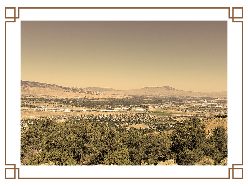 Dovetail Distillery | Oat Whiskey - Mound House, NV