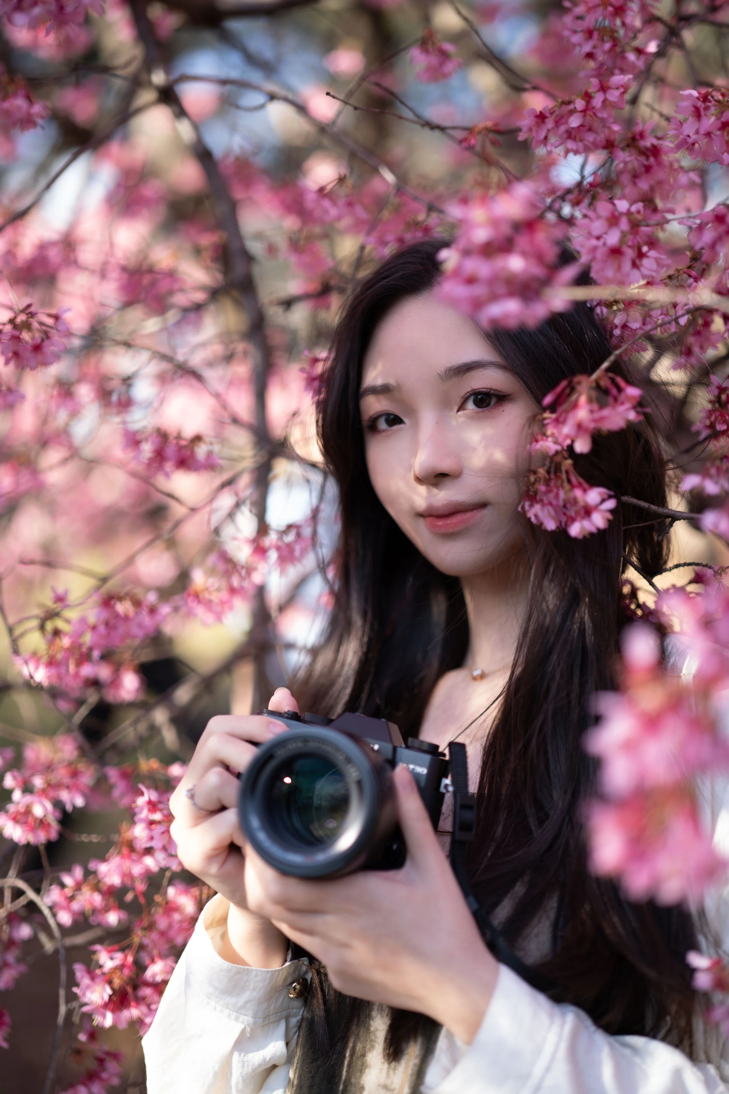 About — Victoria Lin