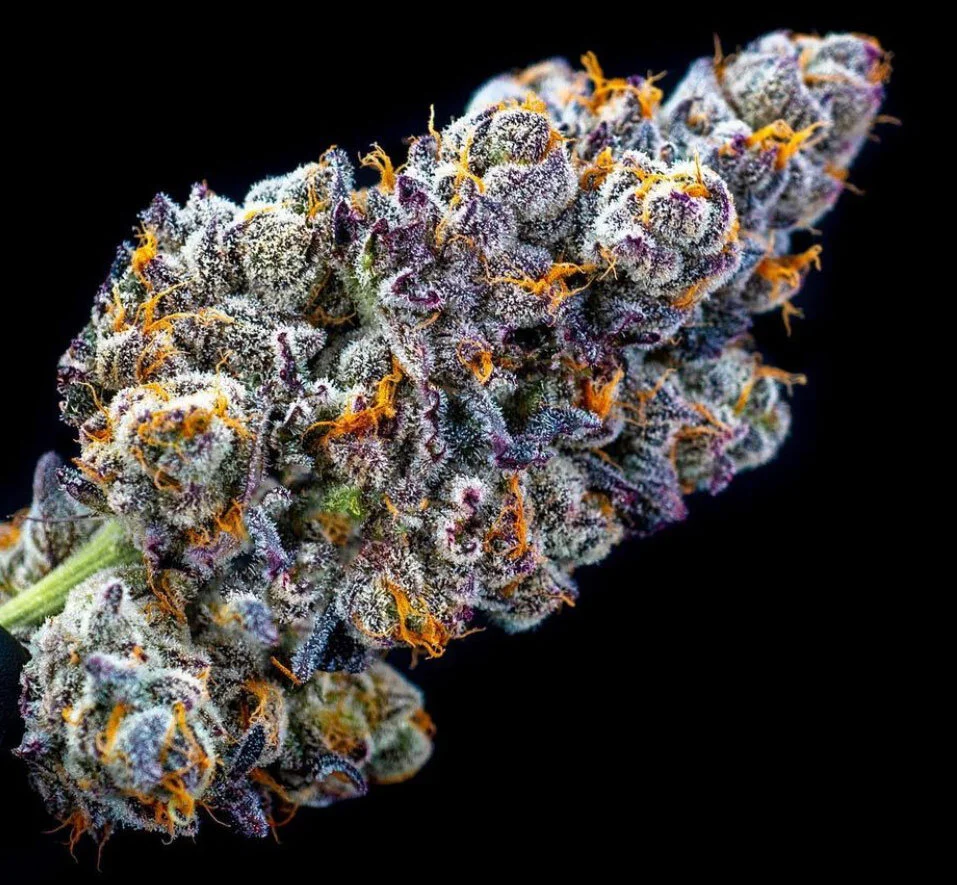 Sundae Driver — Phinest Cannabis