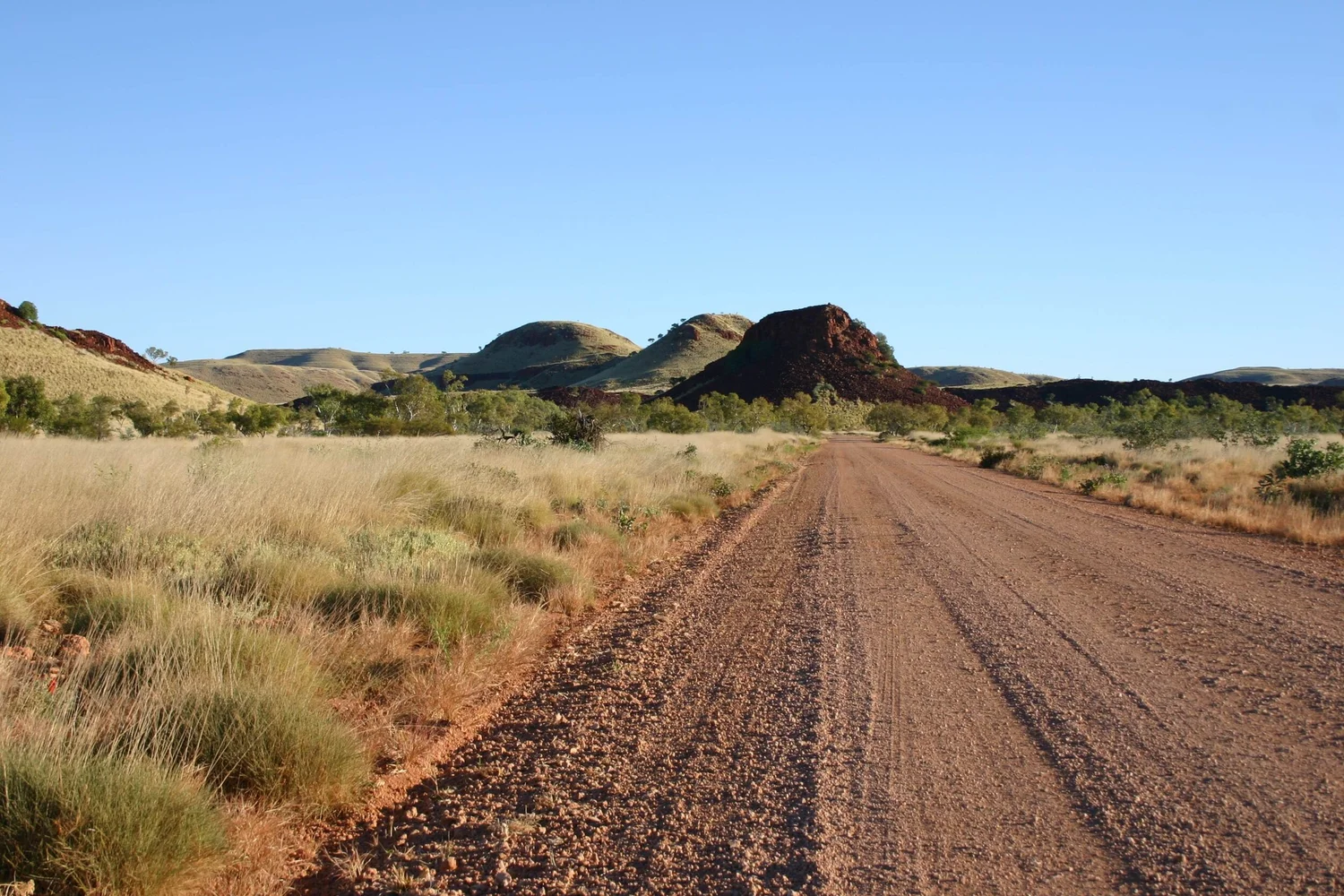 MITZY PEPPER, ARC DECRA Fellow, The Australian National University