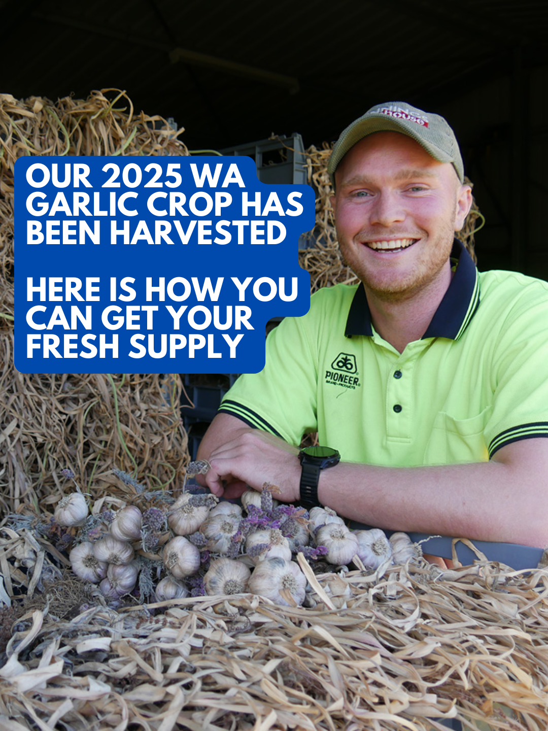 Our 2025 Garlic Crop Has Been Harvested Here’s How You Can Get Your ...