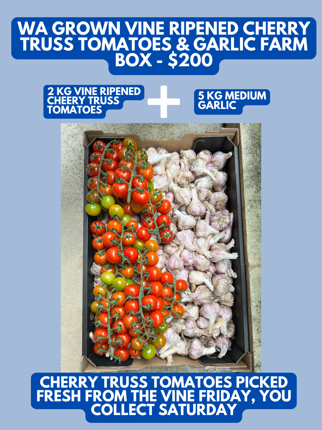 WA Grown Vine Ripened Cherry Truss Tomatoes & Garlic Farm Box — Munns ...