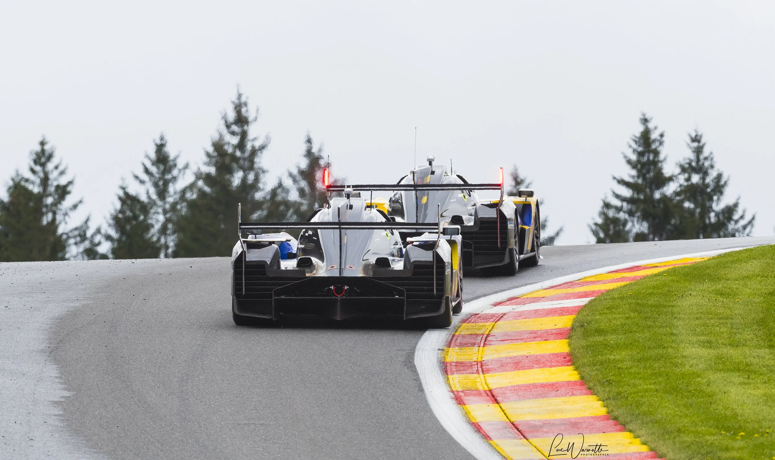 Cadillac V-Series.R in IMSA and WEC — Car Racing Reporter