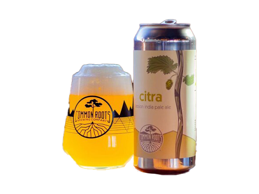 Drinks — Mo's Pub & Grill