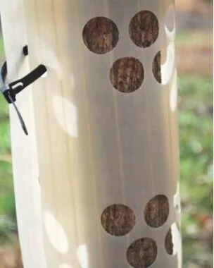 Tree Tubes — All Products — Tree Protection Supply