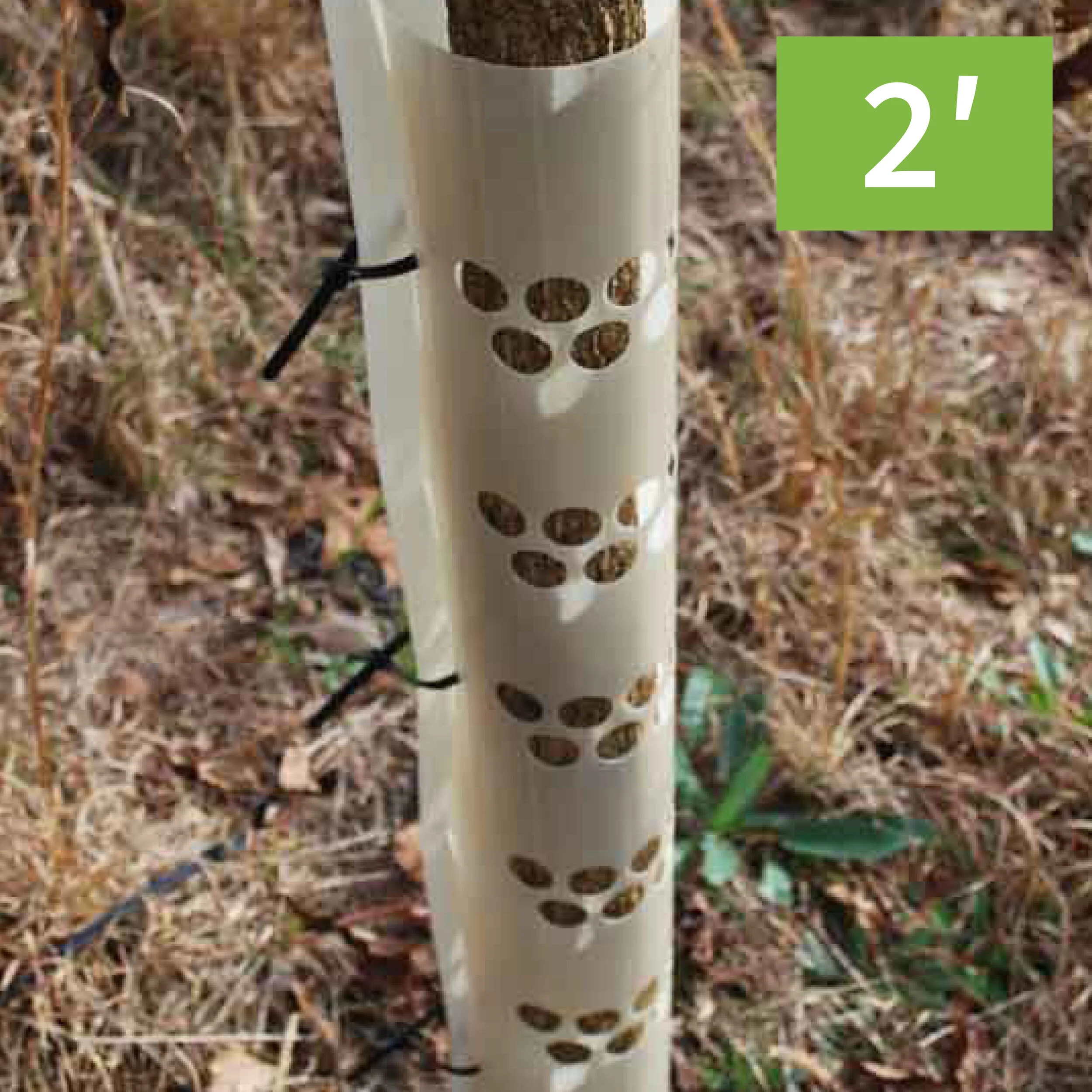 Tree Tubes — All Products — Tree Protection Supply