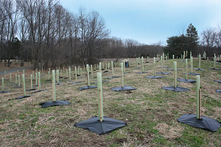 About — Tree Protection Supply