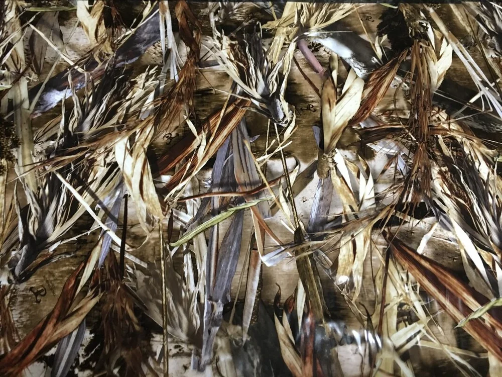 CAMO PATTERNS — Tarjac H2O