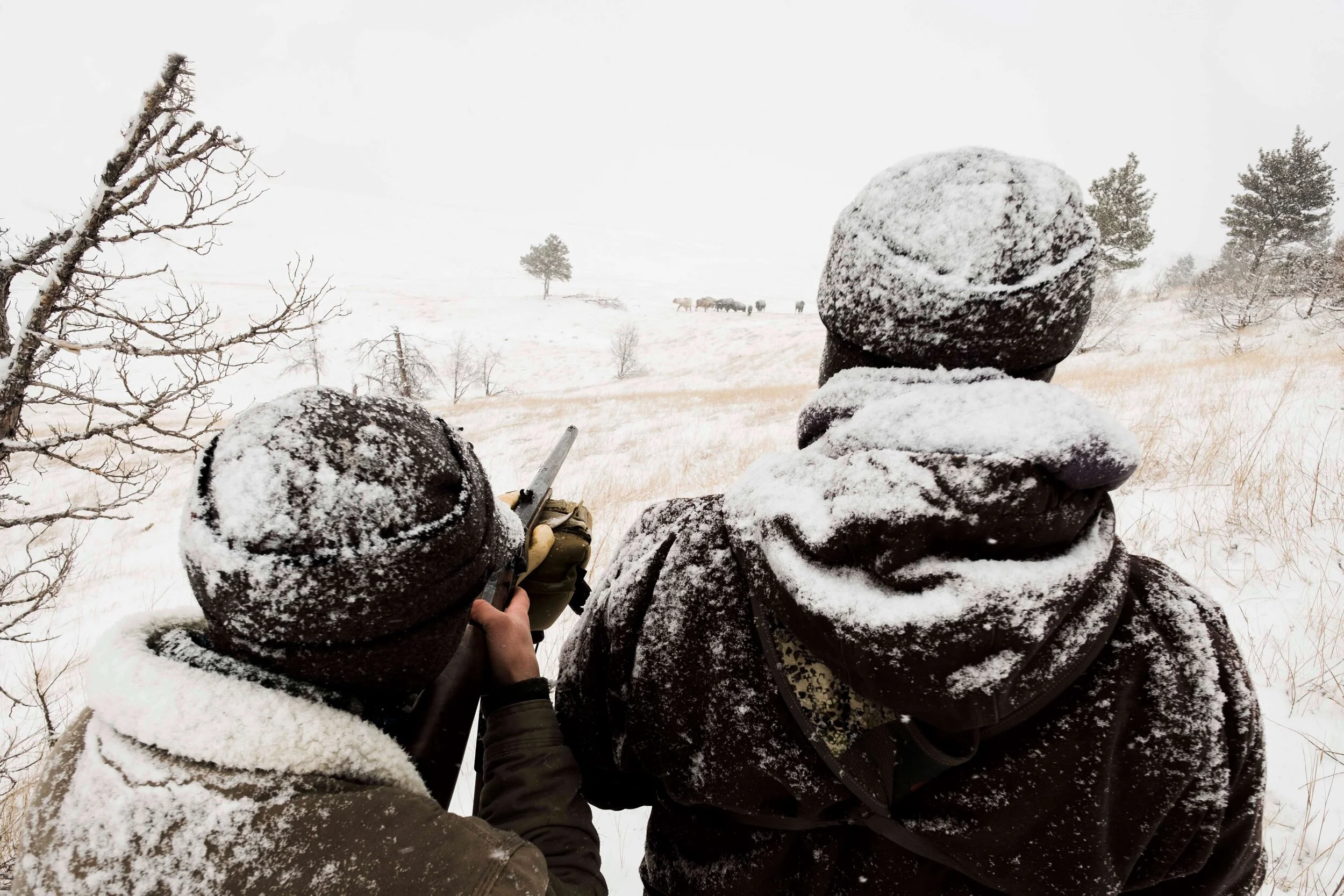 South Dakota Buffalo Hunts | All-Inclusive Bison Hunting Trips — Guide ...