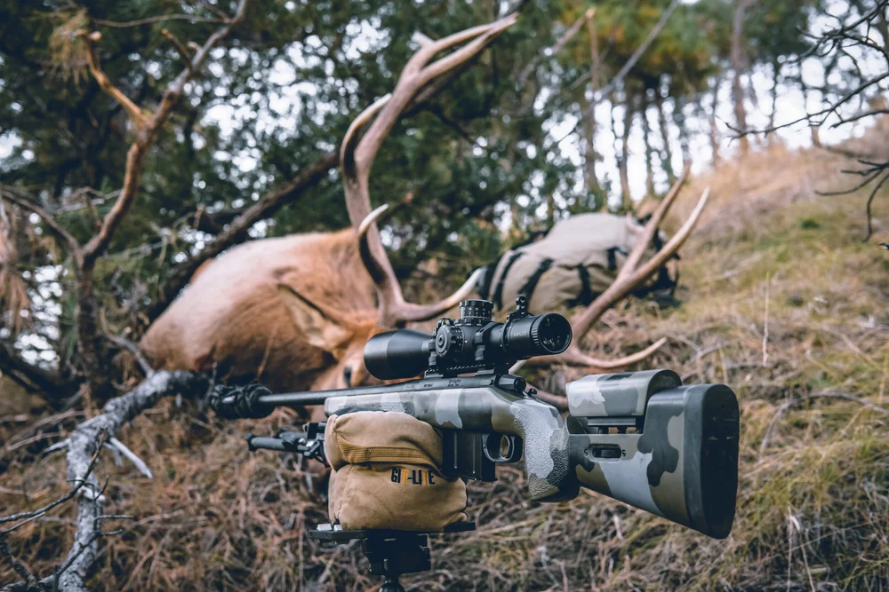 Elk Hunting in South Dakota | Private Guided Elk Hunts | Guide & Gun ...