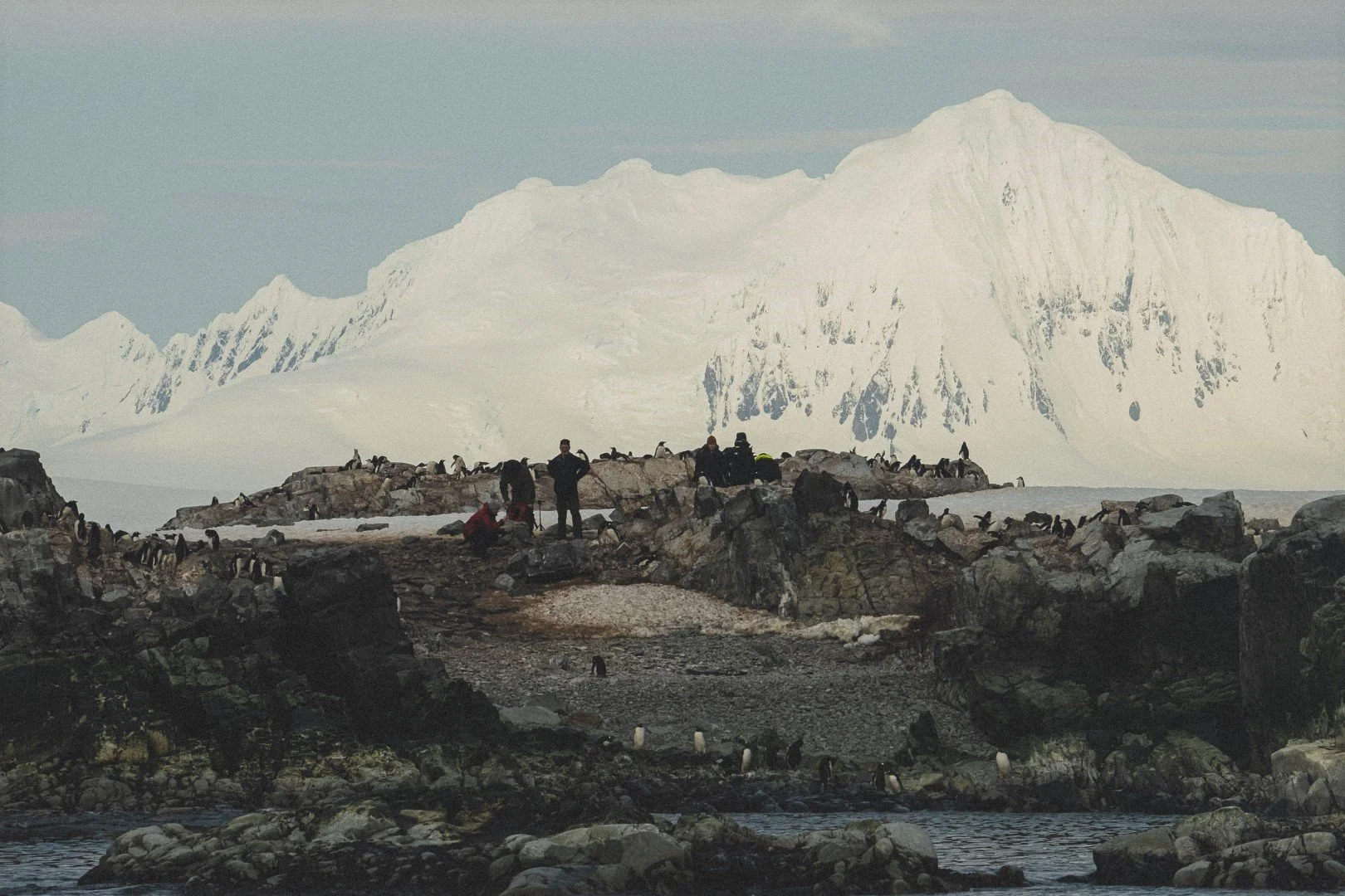 Joubin Islands. Uncharted territory — Vinson of Antarctica & Amundsen