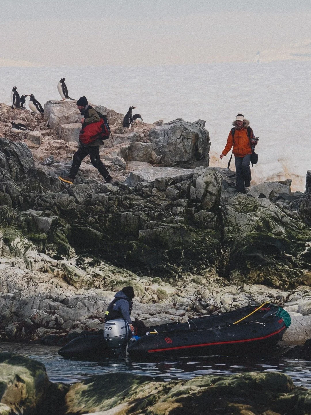 Joubin Islands. Uncharted territory — Vinson of Antarctica & Amundsen