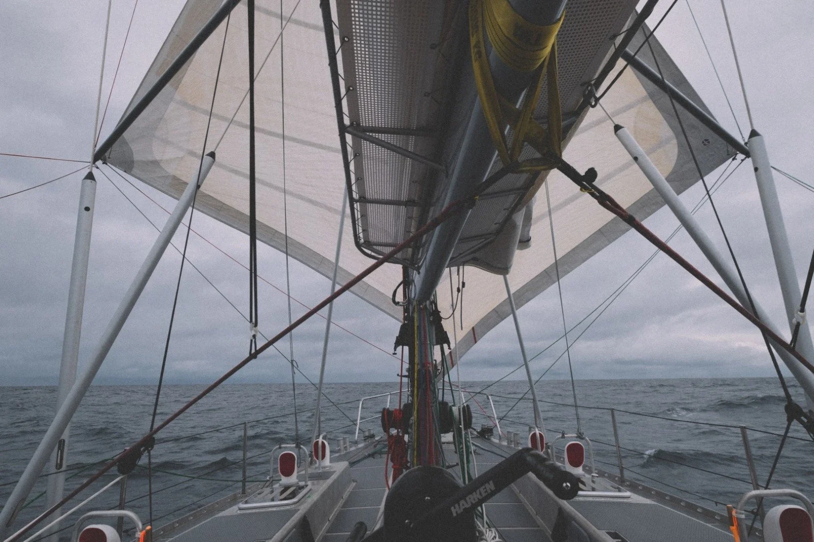 Larsen Harbour — Vinson of Antarctica & Amundsen