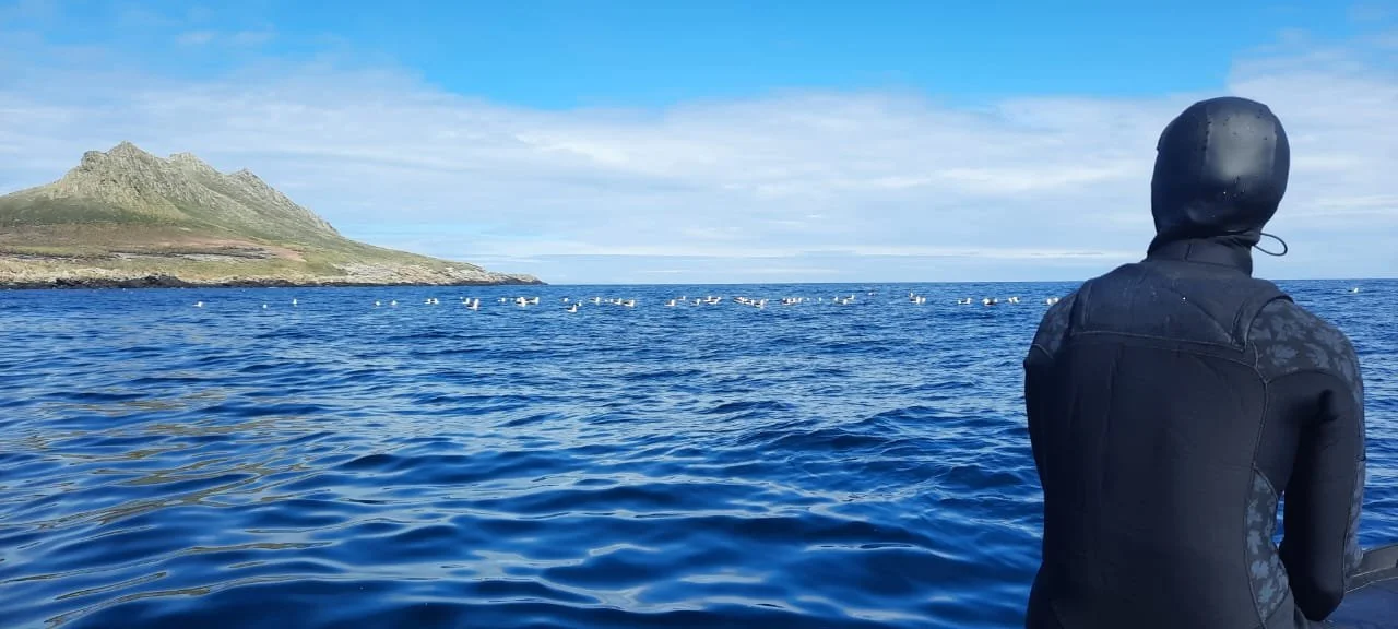 Falklands Diving expedition (II) — Vinson of Antarctica & Amundsen