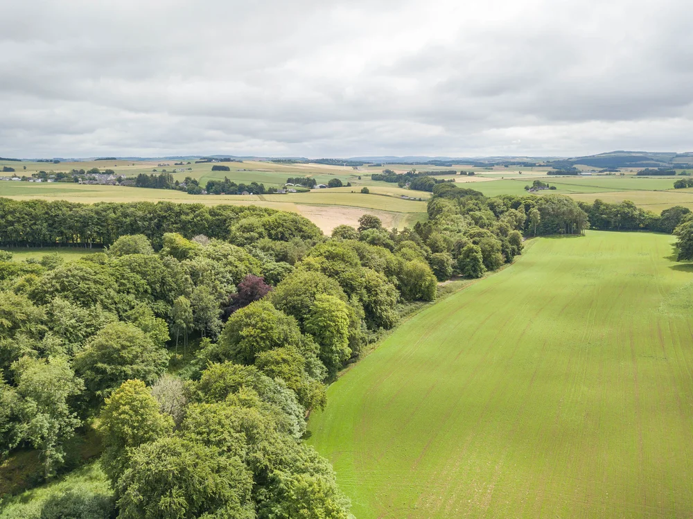 About — Wardhill Castle