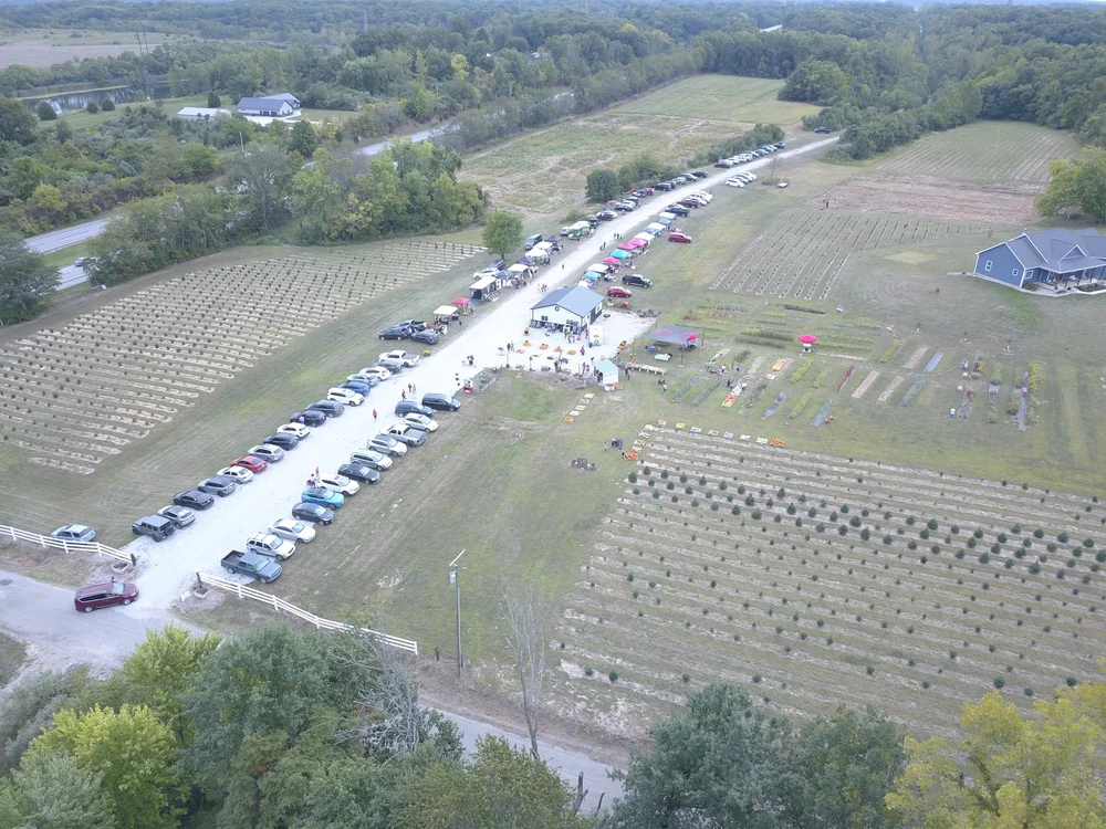 Jolly Pines Tree Farm